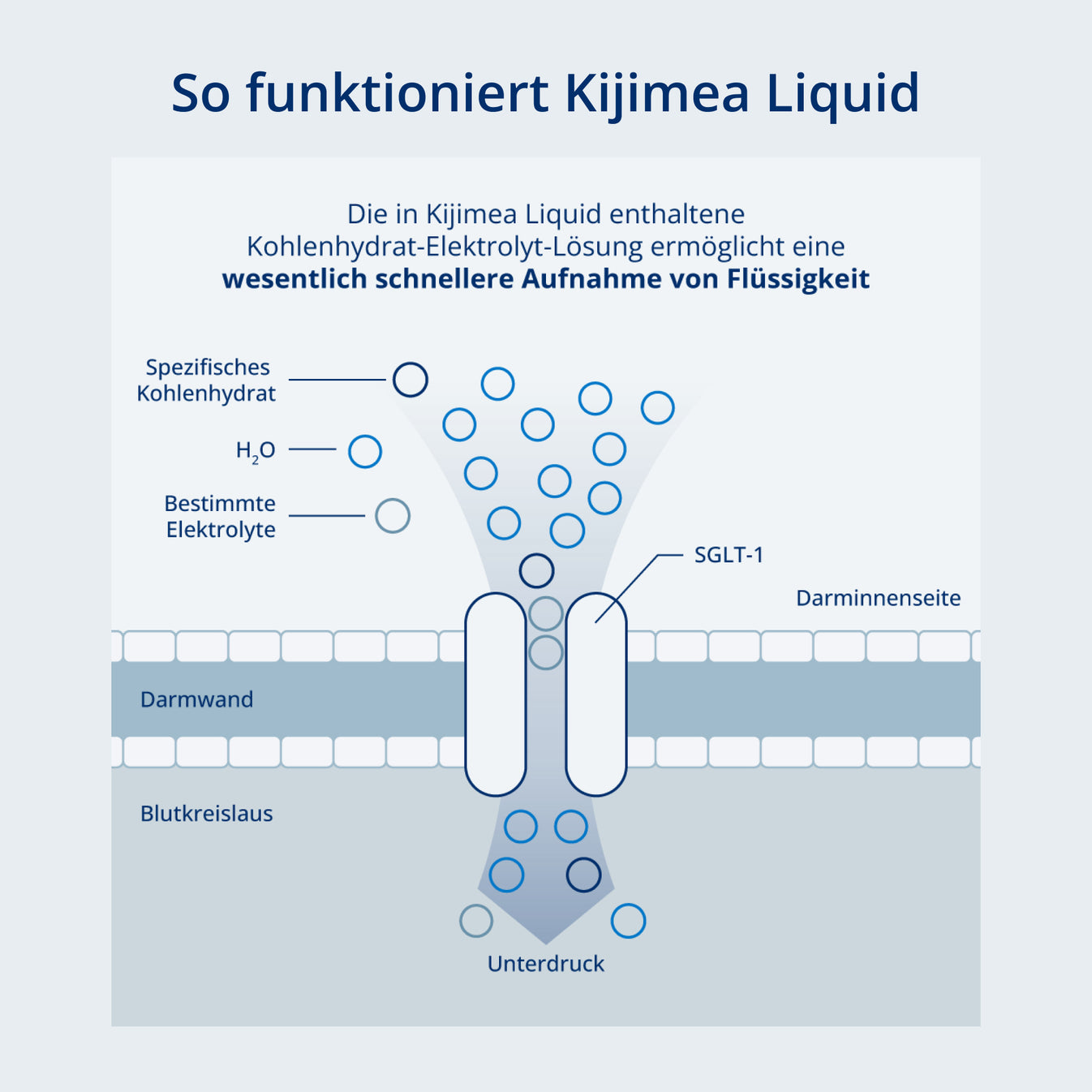 Kijimea Liquid | Produkte von den Mikrobiomexperten